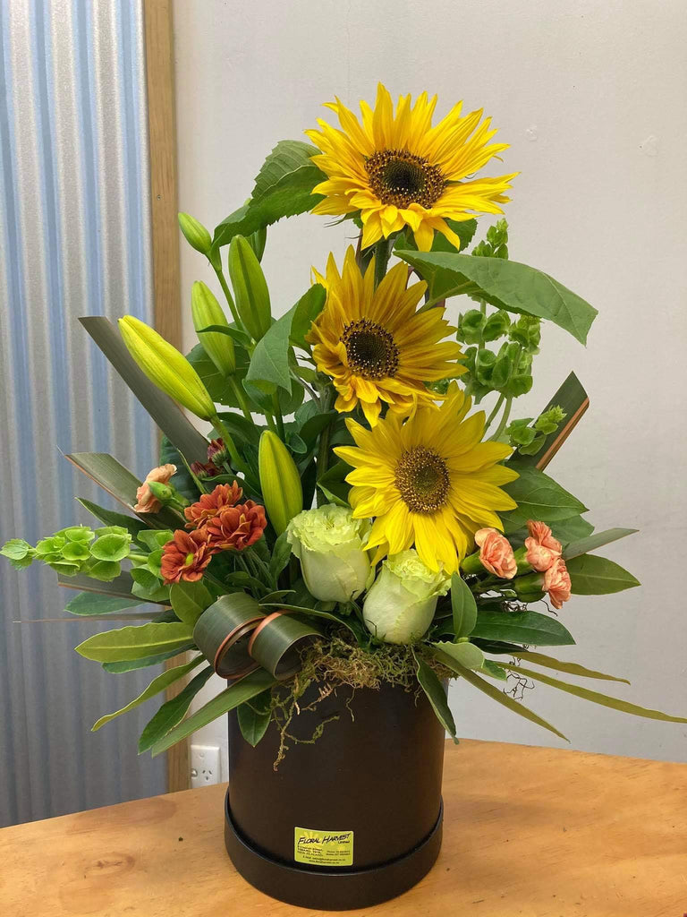 Upright Funky style Arrangement.